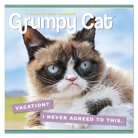 Grumpy Cat Facebook Banner