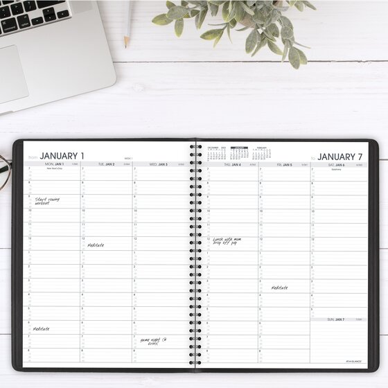 AT-A-GLANCE® Weekly Appointment Book Planners | Weekly Planner | AT-A ...