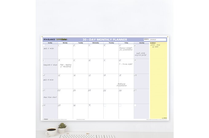 AT-A-GLANCE® QuickNotes Undated 30-Day Horizontal Erasable Wall Planner ...