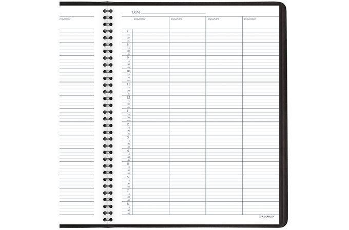 AT-A-GLANCE Undated Four Person Daily Appointment Book, Black, 8 1/2" x ...