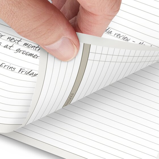 AT-A-GLANCE® Undated Daily Planner Refill, Loose-Leaf, Folio Size, 8 1/ ...