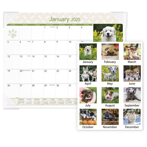 AT-A-GLANCE® 2025 Puppies Monthly Desk Pad, Standard, 21 3/4" x 17 ...