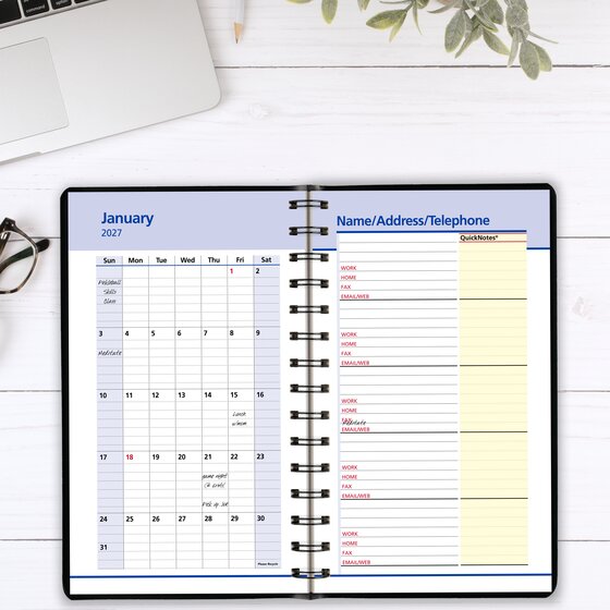 AT-A-GLANCE® QuickNotes® 2026 Daily Monthly Appointment Book Planner ...