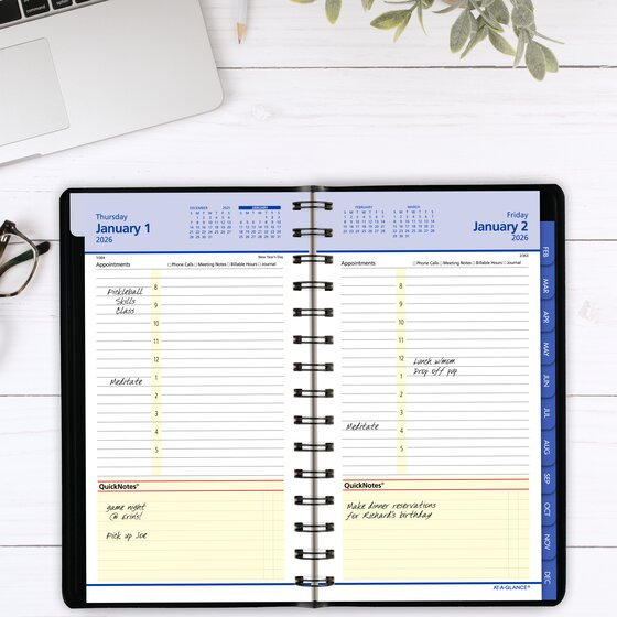 AT-A-GLANCE® QuickNotes® 2026 Daily Monthly Appointment Book Planner ...