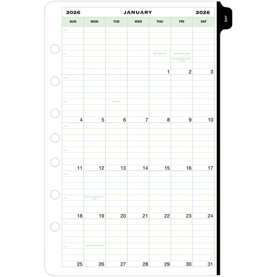 Day-Timer® Two Page Per Day Reference Loose-Leaf Planner Refills, Desk ...