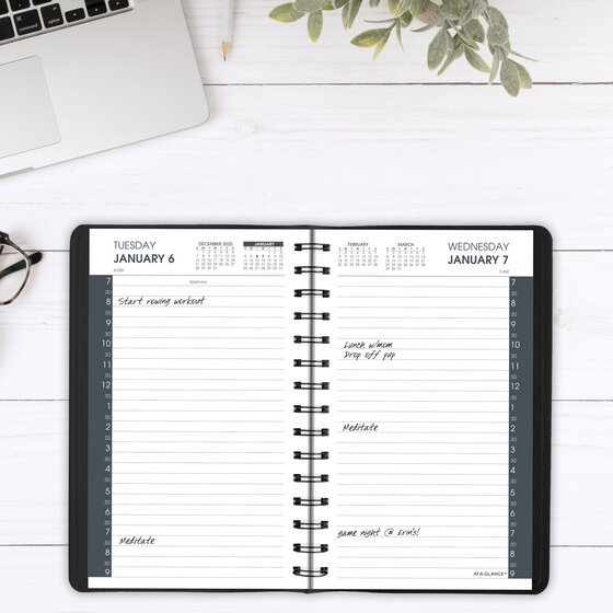 AT-A-GLANCE® 2026 Daily Half-Hour Appointment Book Planner, Black ...