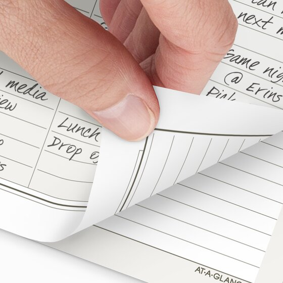 AT-A-GLANCE® 2026 Daily Planner Two Page Per Day Refill, Loose-Leaf ...