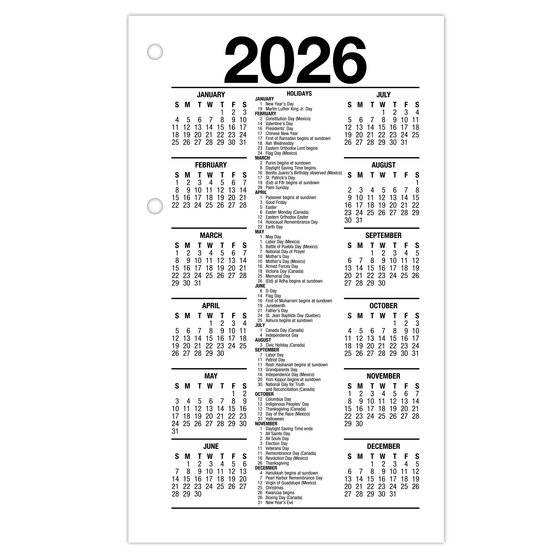 AT-A-GLANCE® 2026 Daily Loose-Leaf Desk Calendar Refill with Monthly ...