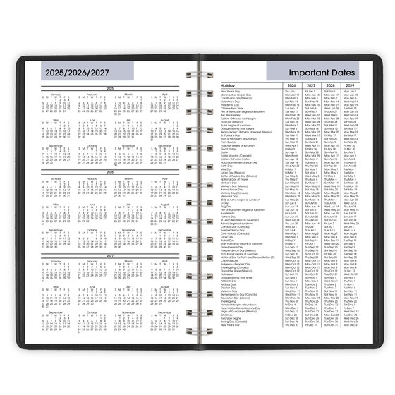AT-A-GLANCE® DayMinder® 2026 Daily Appointment Book Planner, Black ...