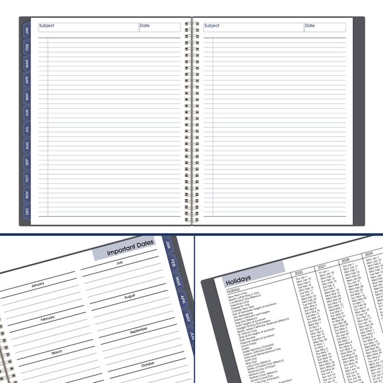 AT-A-GLANCE® DayMinder® 2026 Monthly Planner, Gray, Large, 8 1/2" x 11 ...