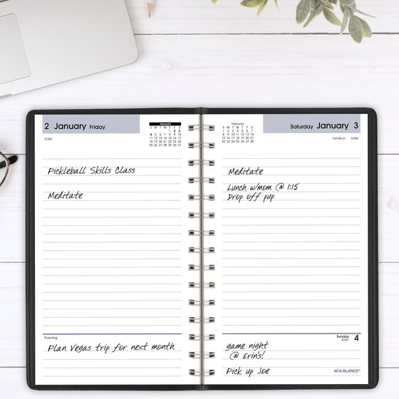 AT-A-GLANCE® DayMinder® 2026 Basic Daily Planner, Black, Small, 5" x 8 ...