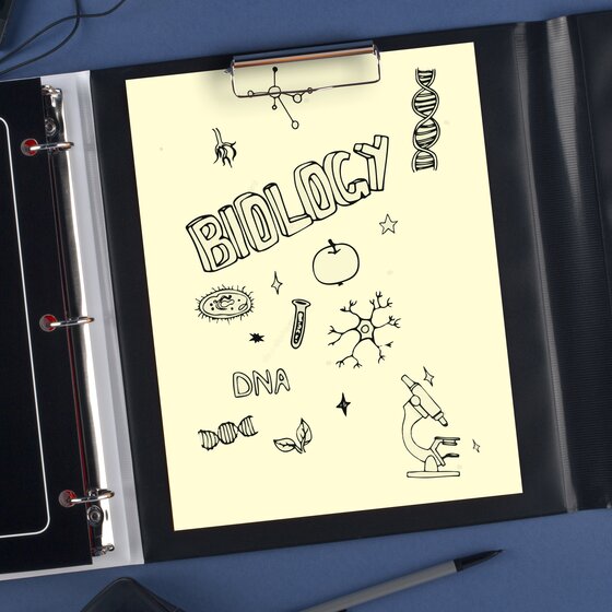 Trapper Keeper STRANGER THINGS Binder, Creatures | Trapper Keeper | Mead