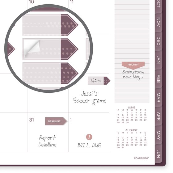 Mead Cambridge® Stria Academic 2026-2027 Weekly Monthly Planner, Large ...