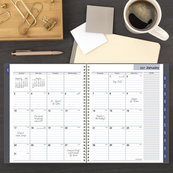 AT-A-GLANCE® DayMinder® 2027 Monthly Planner, Gray, Large, 8 1/2" x 11 ...