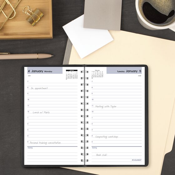 AT-A-GLANCE® DayMinder® 2027 Daily Appointment Book Planner, Black ...