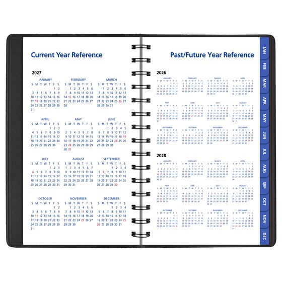 AT-A-GLANCE® QuickNotes® 2027 Weekly Monthly Appointment Book Planner ...